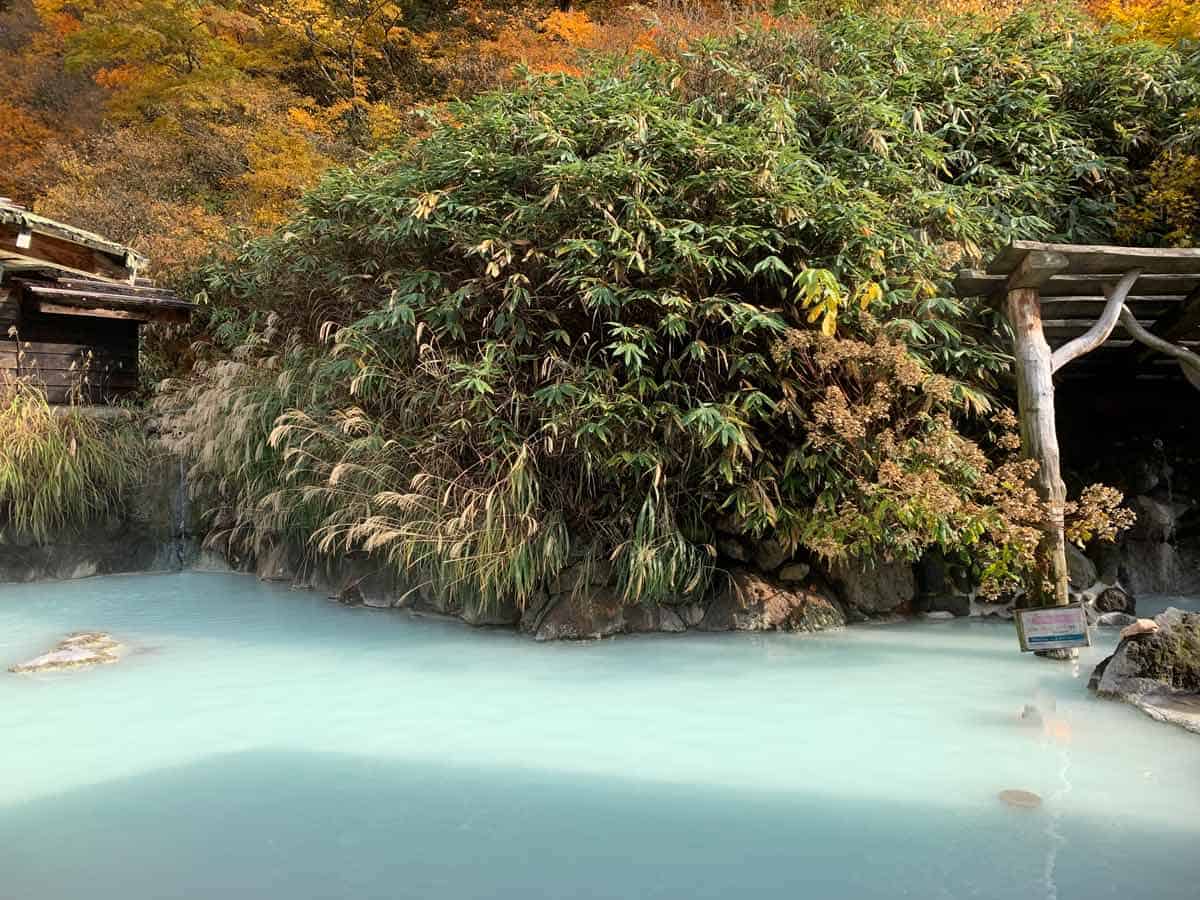 Here are the Best Autumn Foliage Spots to Visit in Tohoku