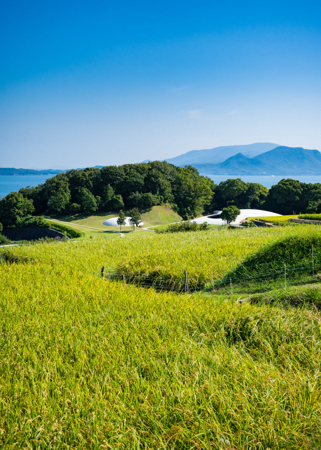 The Best Sustainable Tourism on Kagawa's Ogijima and Teshima Islands