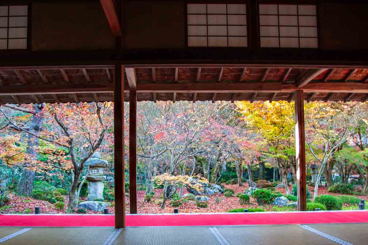 Fall Colors in Kyoto: Best Autumn Foliage Spots to Visit in Japan