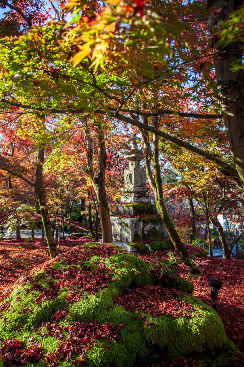 Fall Colors in Kyoto: Best Autumn Foliage Spots to Visit in Japan