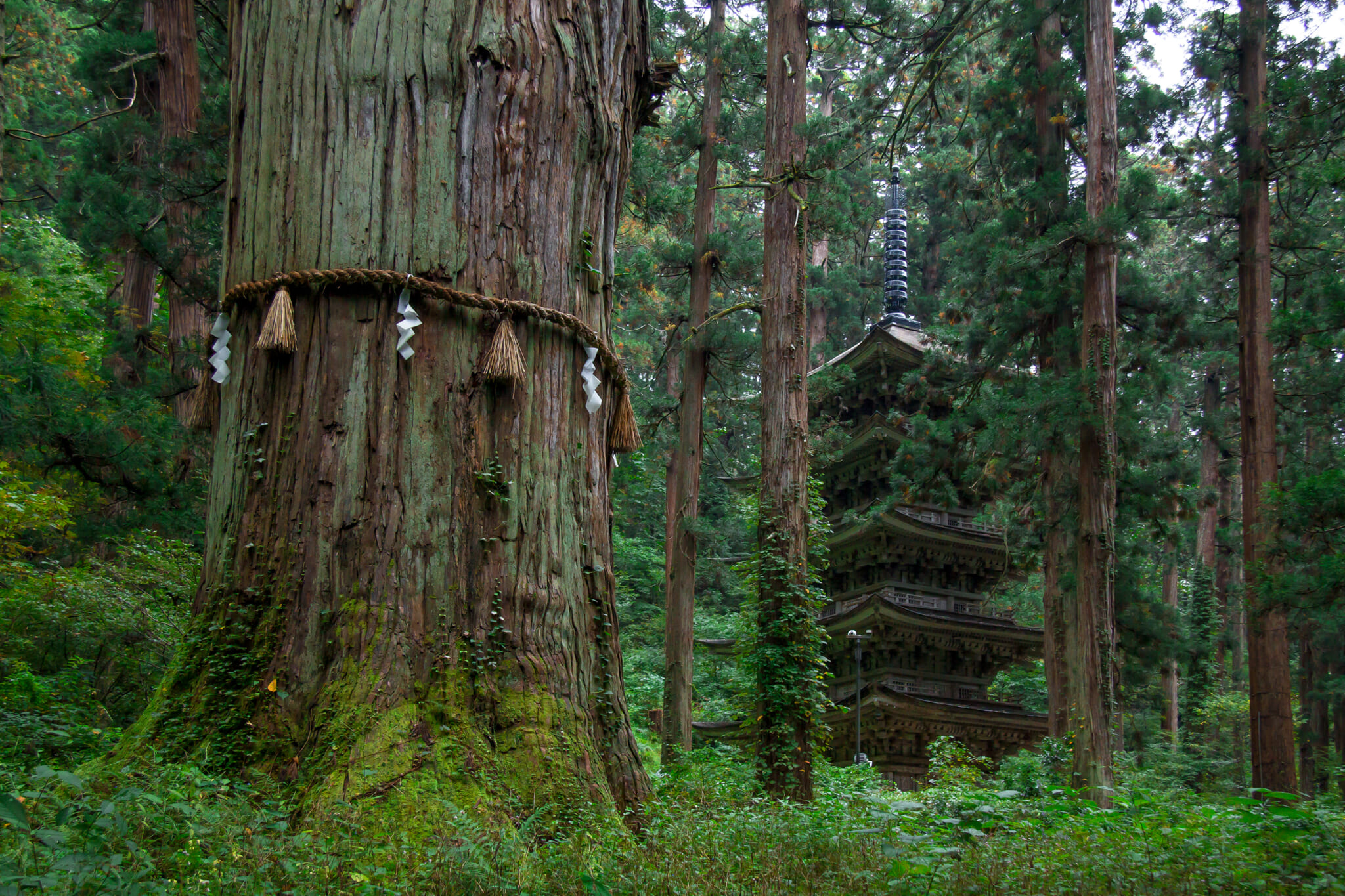 Top Things to See and Do in Tsuruoka: Nature, Hot Springs, & Spiritualism