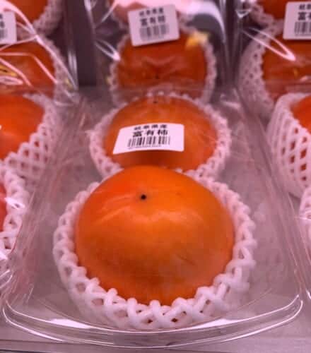 Plastic in Japan: Culture, Waste, and Recycling Solutions