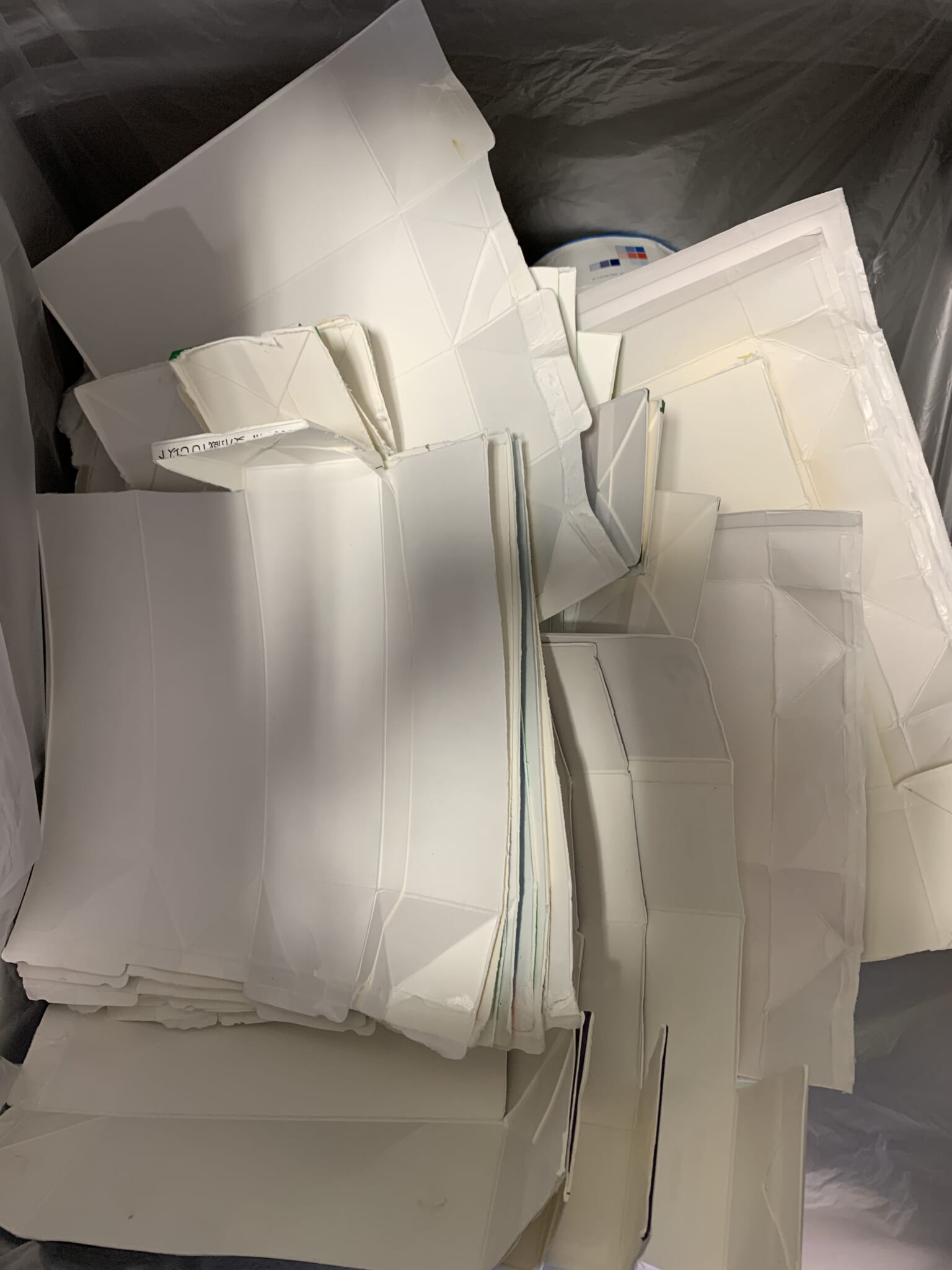 Plastic in Japan: Plastic Culture & New Recycling Management Solutions