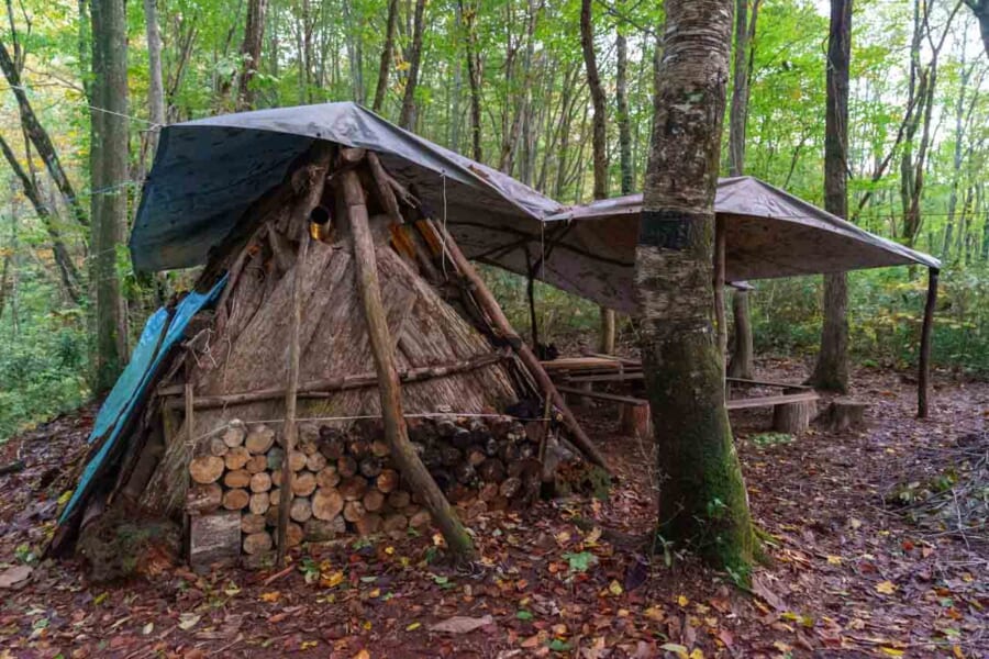 A Hiking Tour with Traditional Matagi Hunter in Japan's Virgin Beech Forest