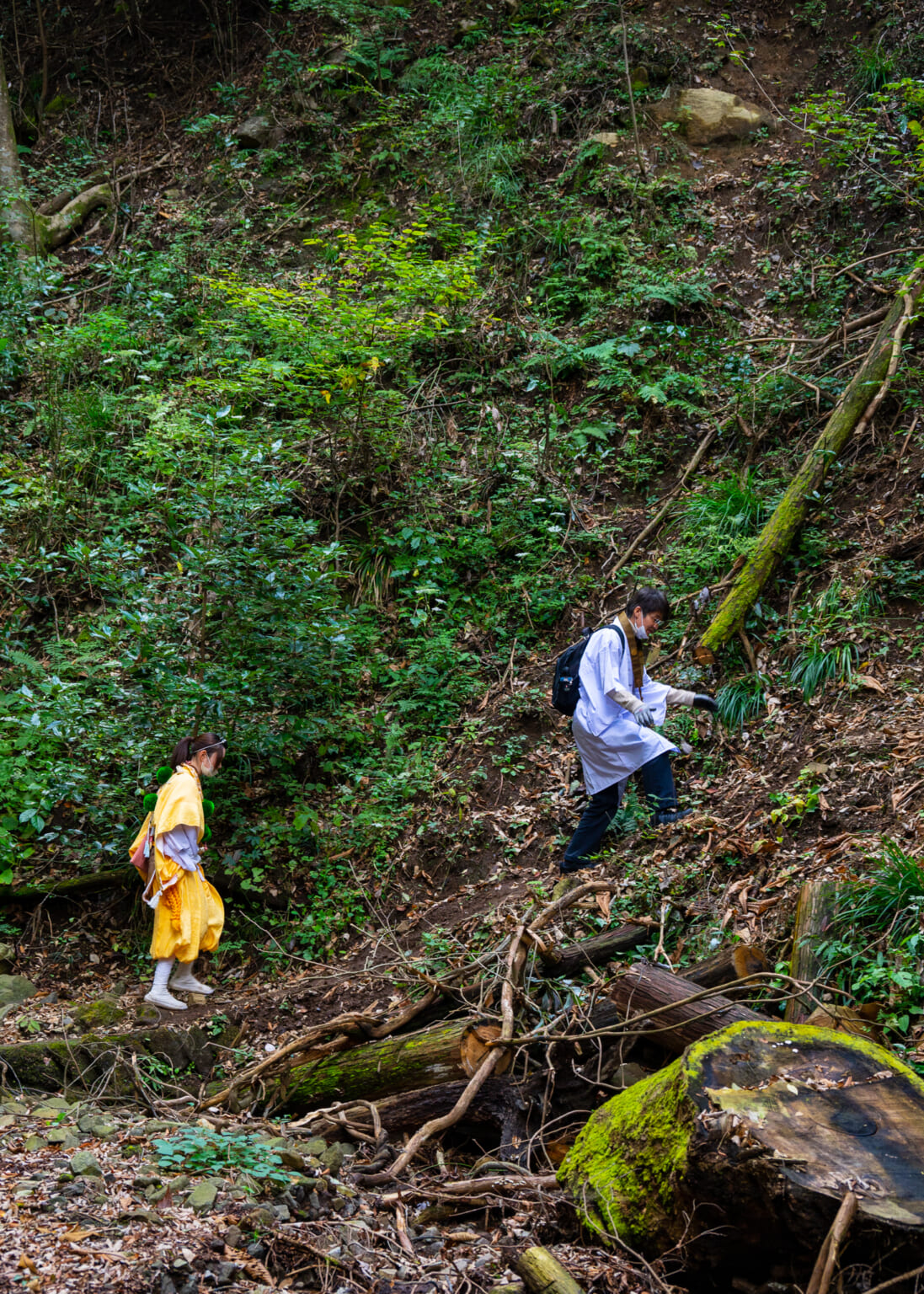 Mt. Myogi : Go on a Spiritual Mountain Trek in the Footsteps of ...