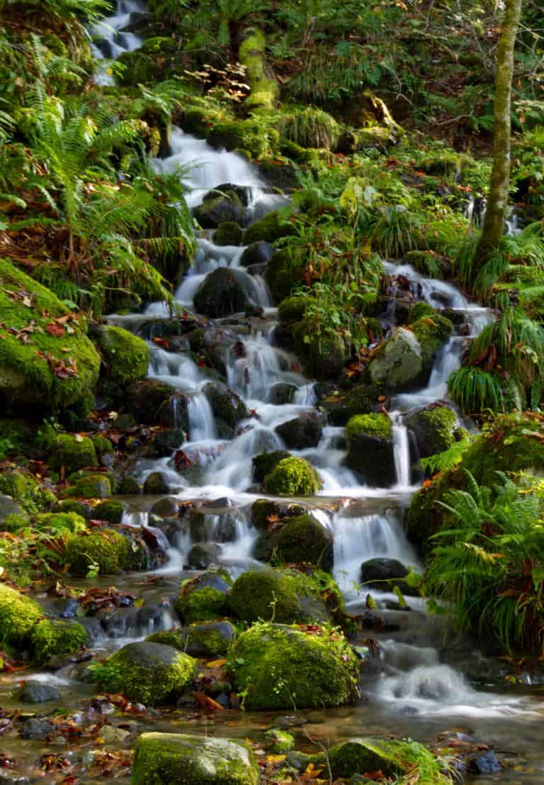 Towada: Top Things to See and Do During the Autumn Season in Aomori