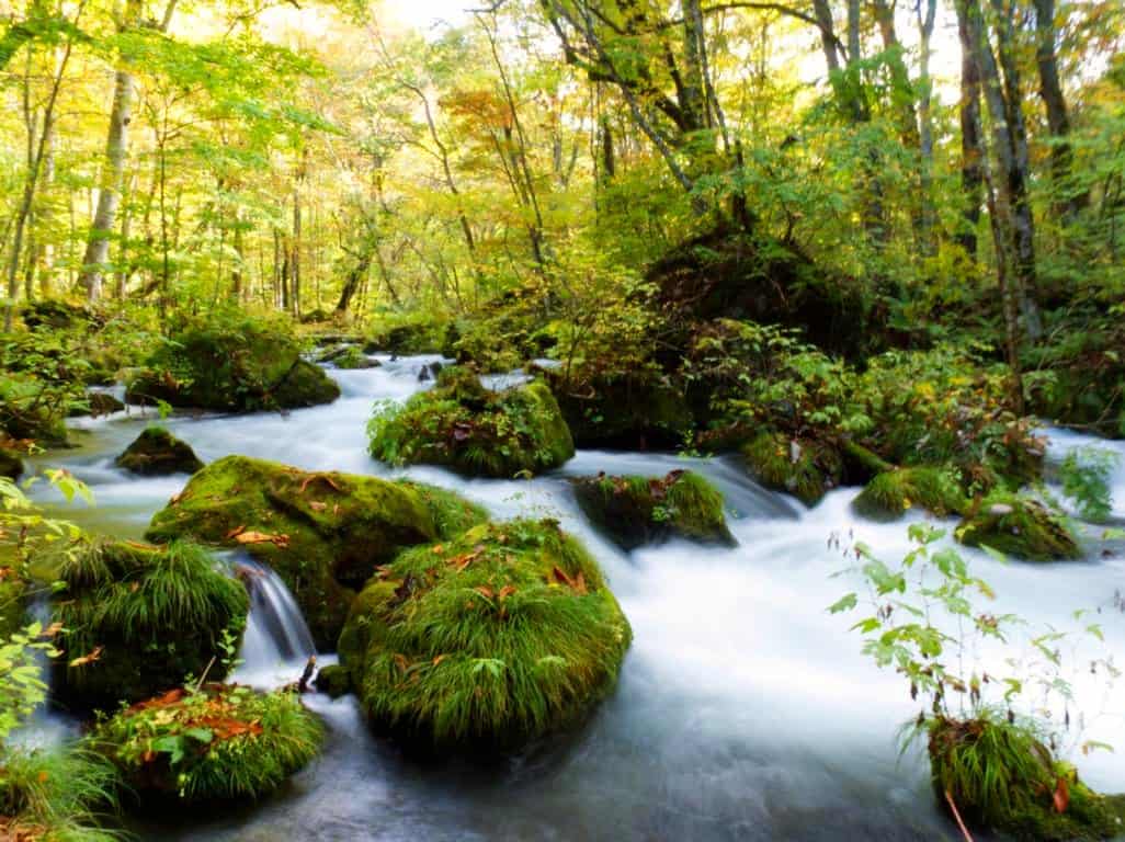Towada: Top Things to See and Do During the Autumn Season in Aomori