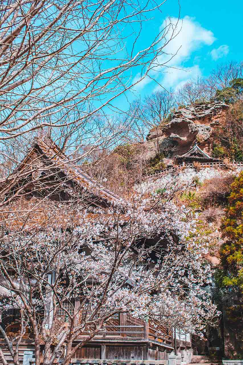 Iwami Guide: Top Highlights of Shimane's Lesser-Known Side of Japan