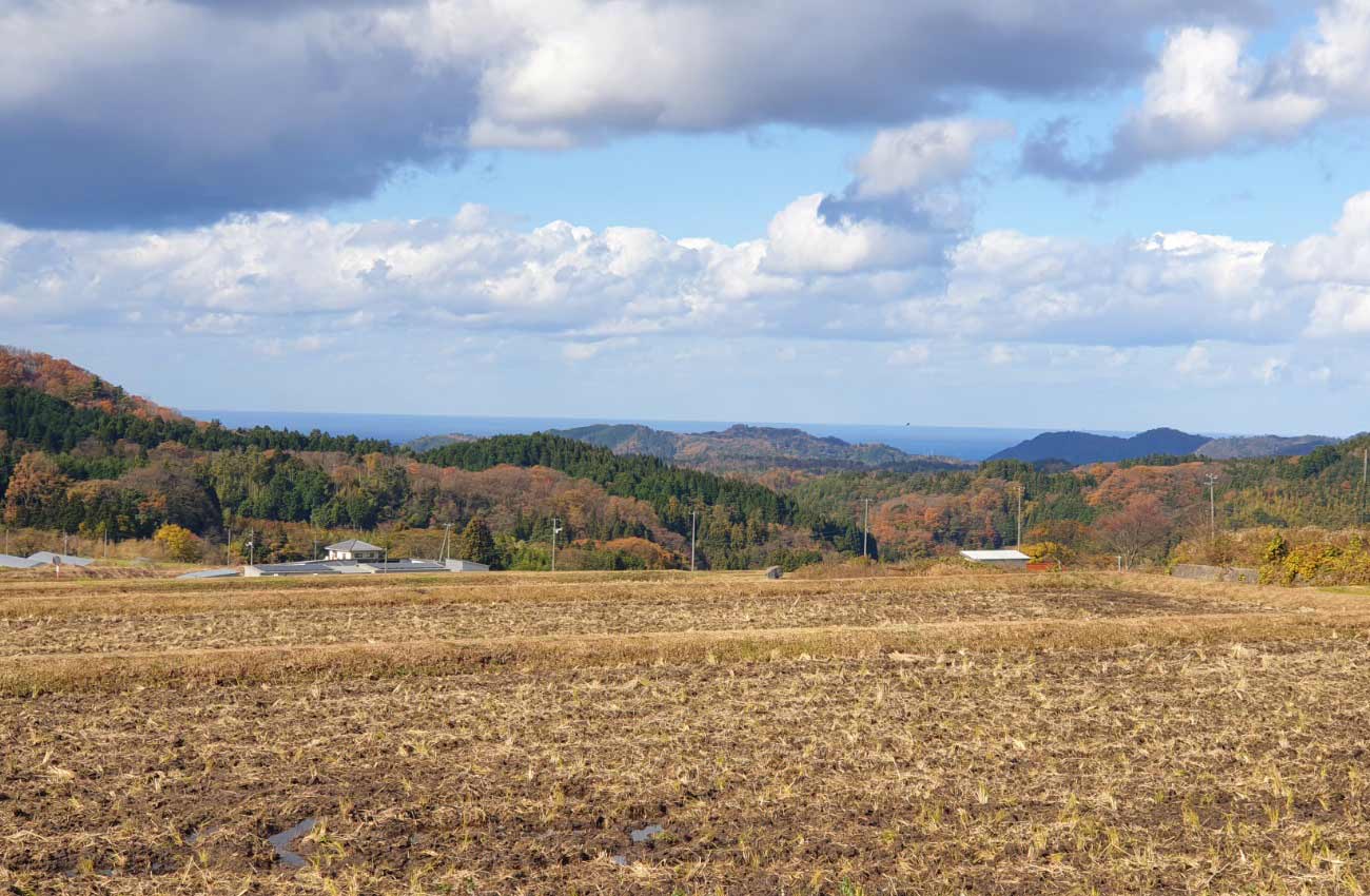 Iwami Guide: Top Highlights of Shimane's Lesser-Known Side of Japan