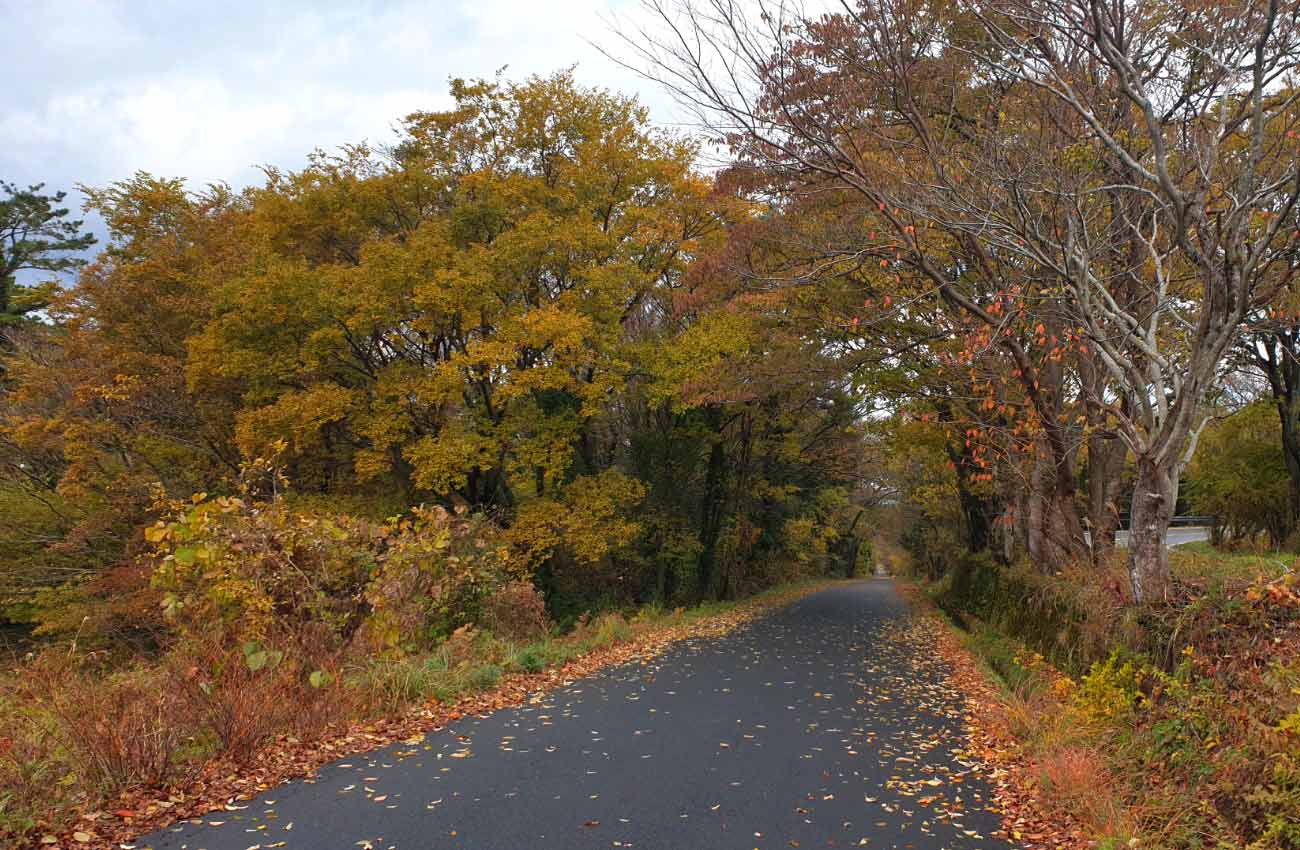 Iwami Guide: Top Highlights of Shimane's Lesser-Known Side of Japan