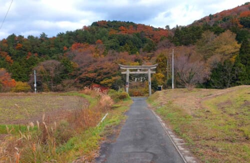 Iwami Guide: Top Highlights of Shimane's Lesser-Known Side of Japan