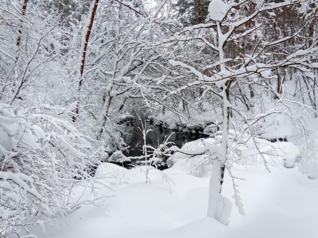 Top Snow Activities to Try for Your Japanese Winter Getaway in Tohoku