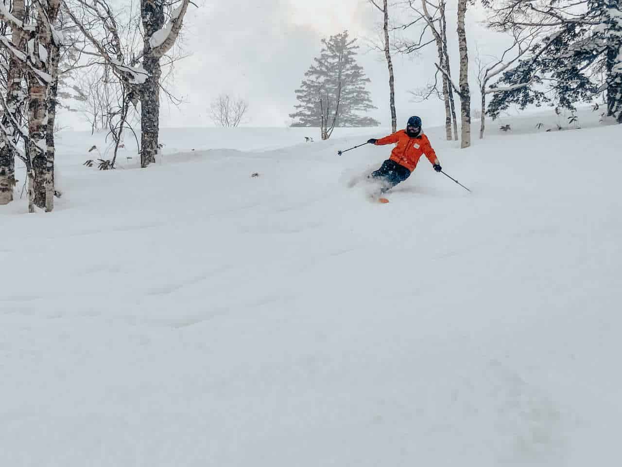 Winter in Hokkaido: Top Fresh Powder Ski Hills in Hokkaido