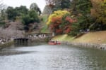 Hikone Castle: Check out the Remnants of Feudal Japan Near Lake Biwa
