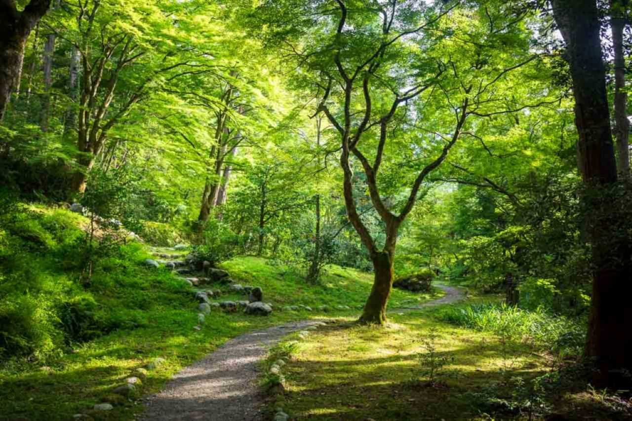 Adventure Travel Destinations with the Hokuriku Arch Pass