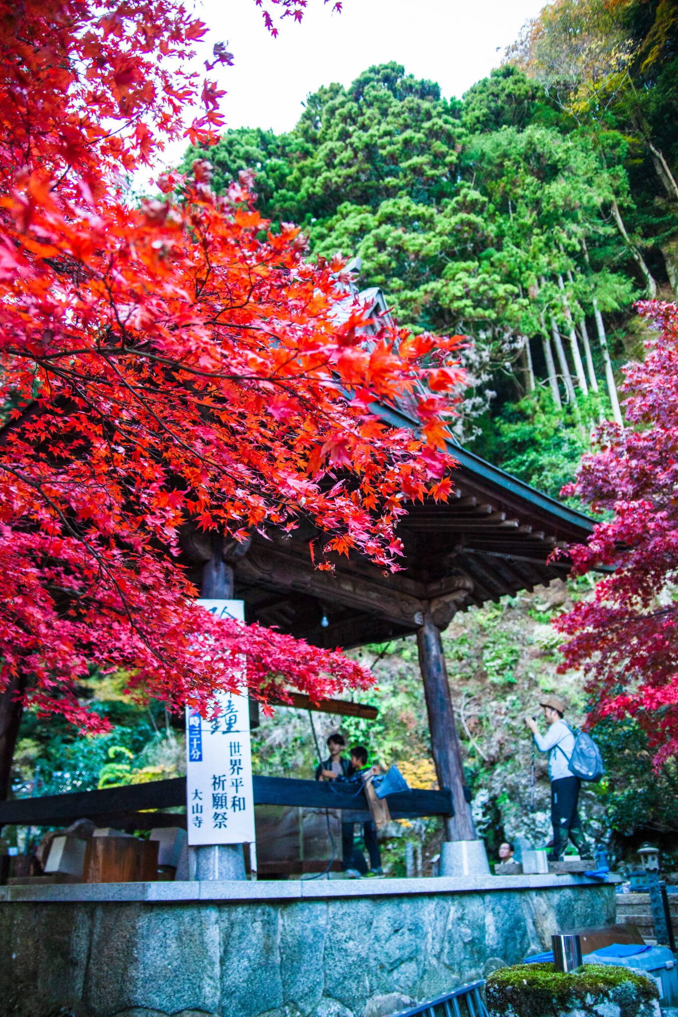 Enjoying the Beauty of the Fall in Isehara