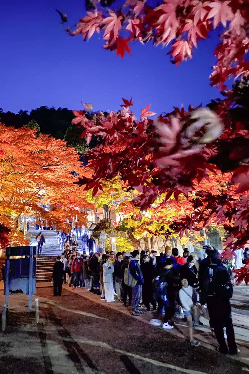 Enjoying the Beauty of the Fall in Isehara