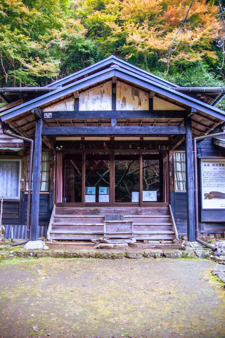 Enjoying the Beauty of the Fall in Isehara