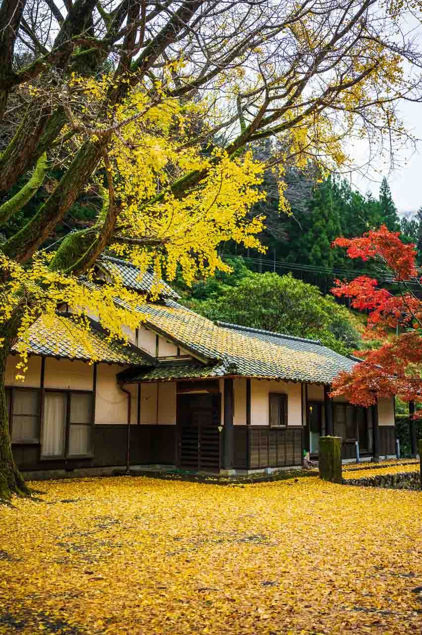 Hamamatsu City - A Hidden Gem of Japan in Every Season
