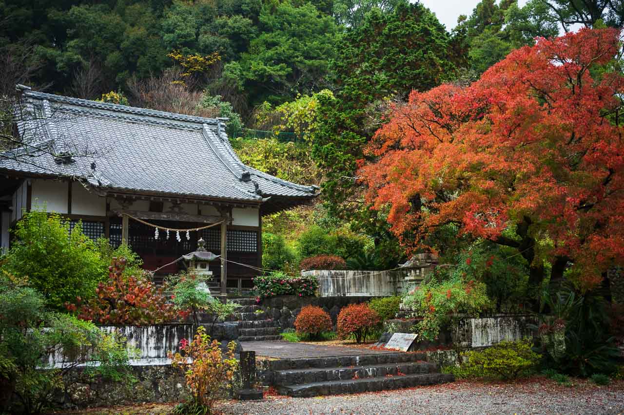 Hamamatsu City - A Hidden Gem of Japan in Every Season