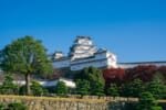 West is Best: Discover the Enchantment of Kyushu, Japan