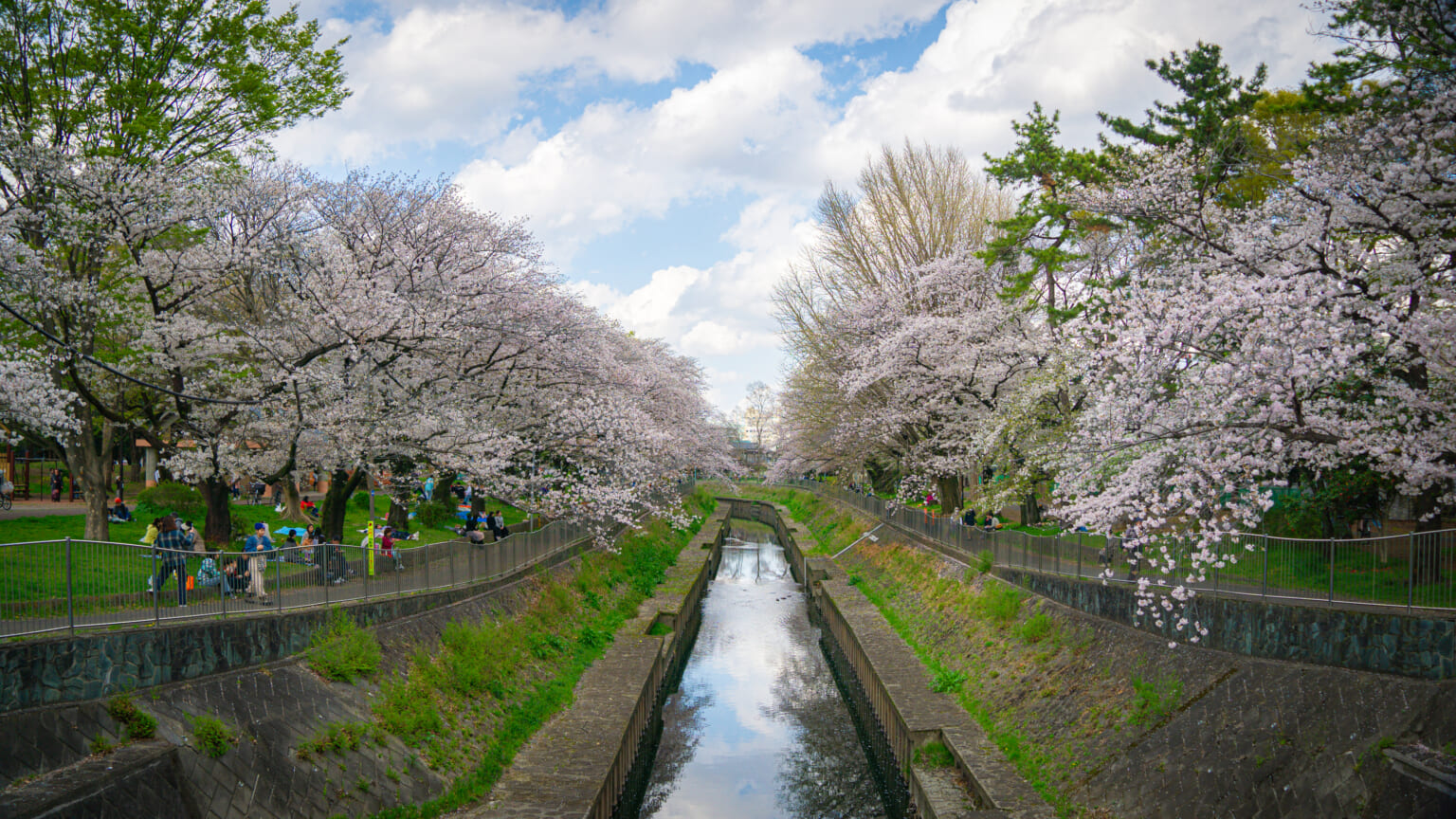 A Tokyo Insider's Guide to Ogikubo & Nishi-Ogikubo Neighborhood
