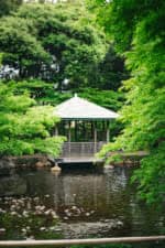 A Tokyo Insider's Guide to Ogikubo & Nishi-Ogikubo Neighborhood