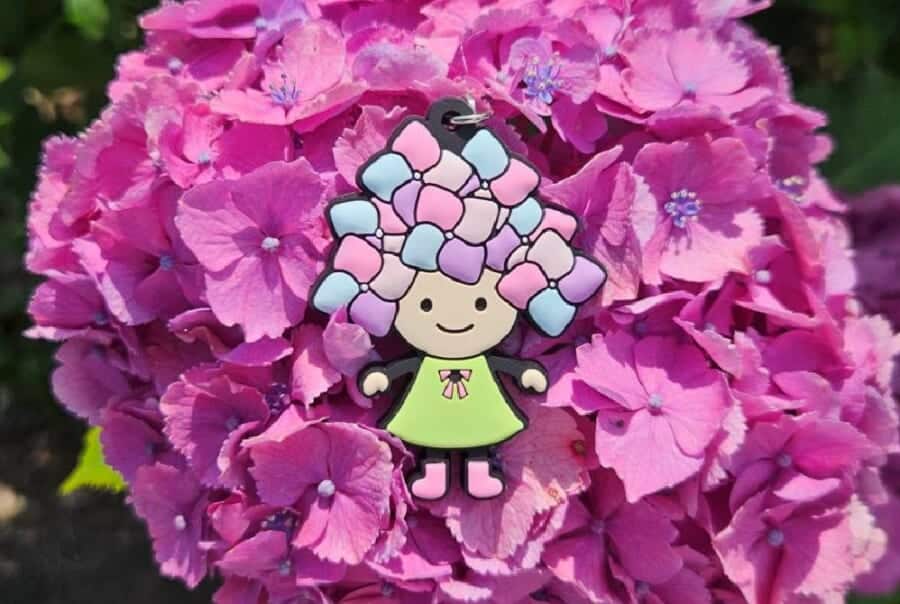 Ajisai: How to Enjoy Japan's Hydrangea Season to the Fullest