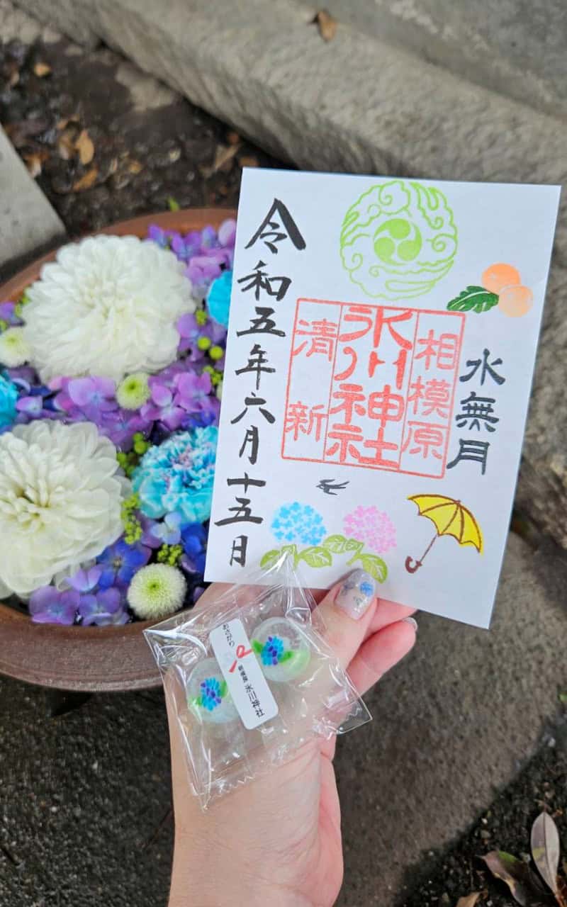 Ajisai: How to Enjoy Japan's Hydrangea Season to the Fullest