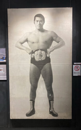 Puroresu: A Look into Japan's Pro Wrestling Scene
