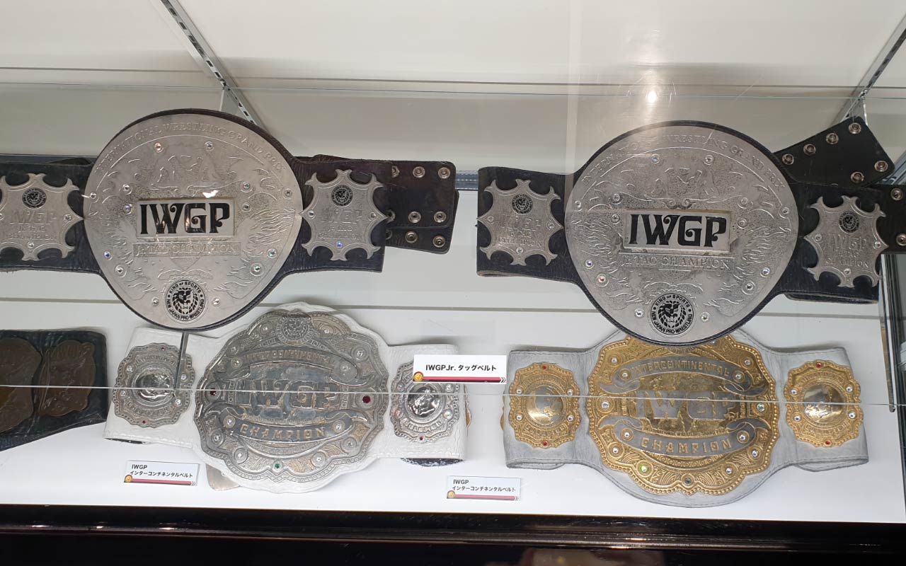 Puroresu: A Look into Japan's Pro Wrestling Scene