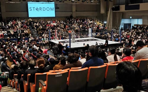 Puroresu: A Look into Japan's Pro Wrestling Scene
