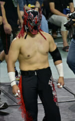 Puroresu: A Look into Japan's Pro Wrestling Scene