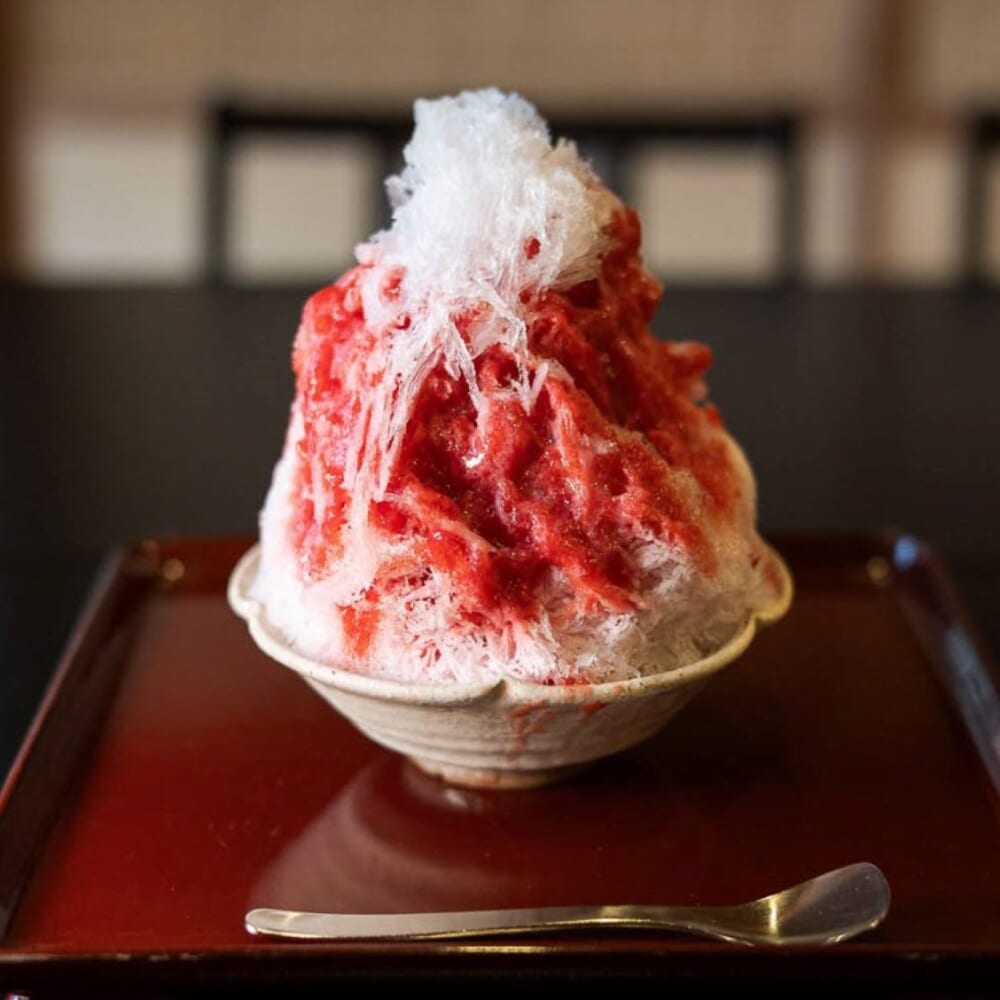 Electricity In Japan: What You Should Know