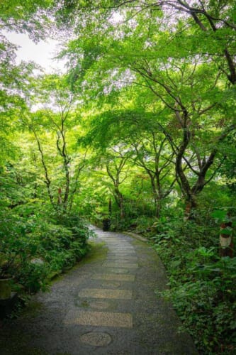 Akiruno: A Day Trip of Artist’s Cafes and Nature-infused in Tokyo