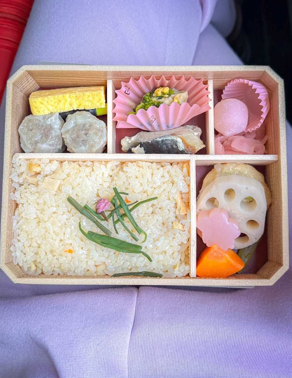 Ekiben: Where to Buy a Train Bento in Japan?