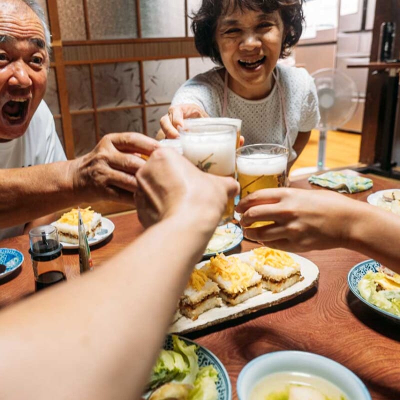 Steel Dragon 2000, The World's Longest Roller Coaster in Japan!