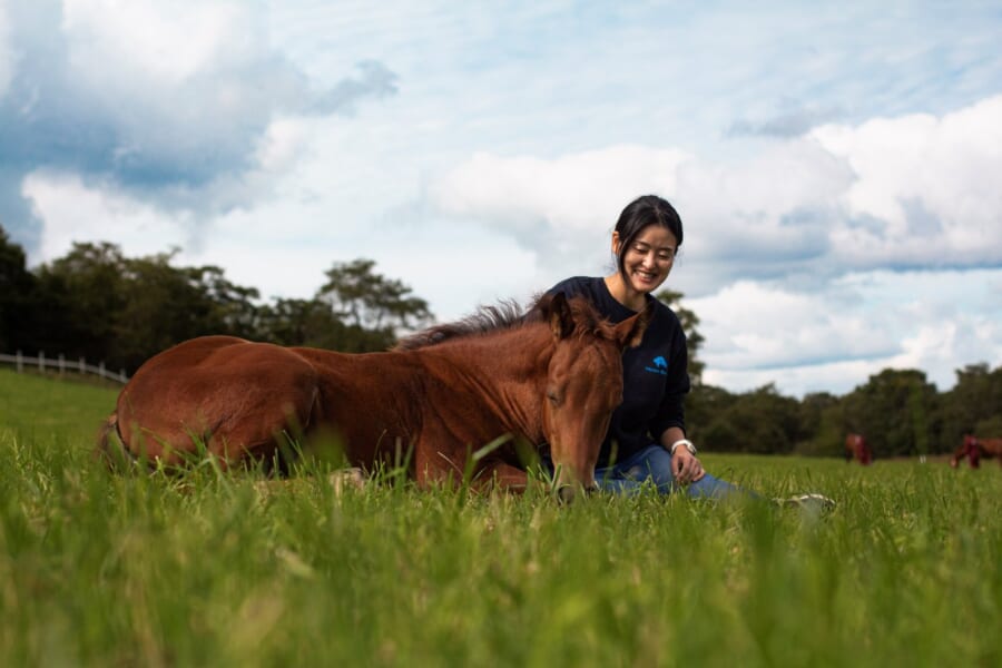 Dosanko: Native Horses, People and Culture of Hokkaido