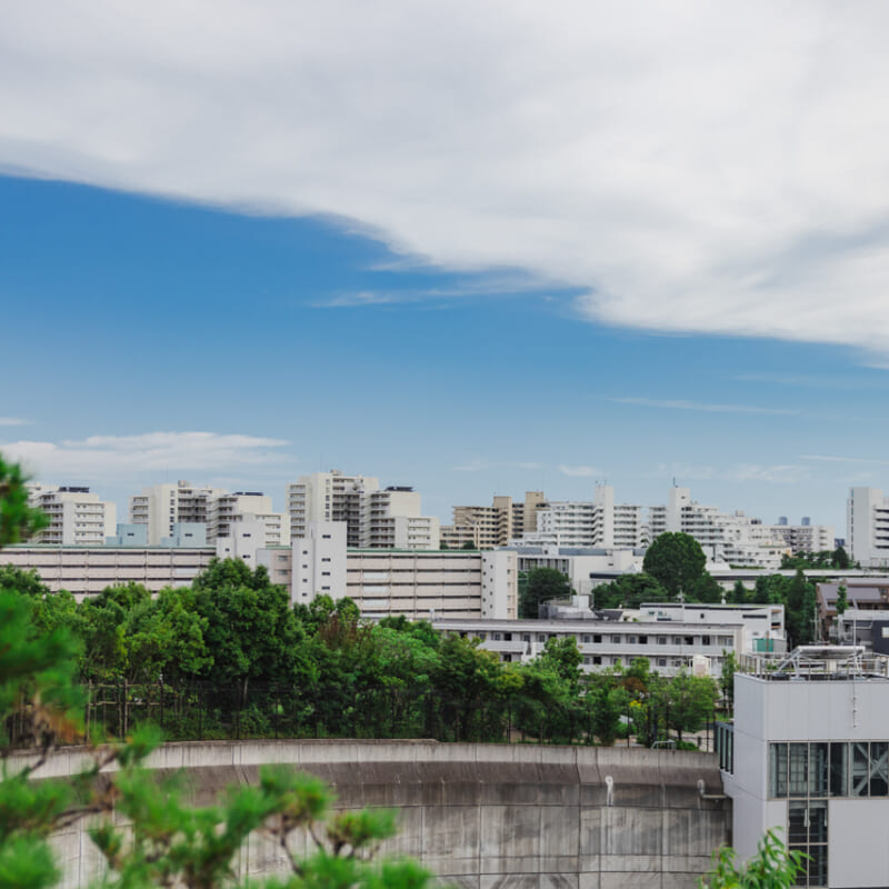 Electricity in Japan Guide: What You Need to Know