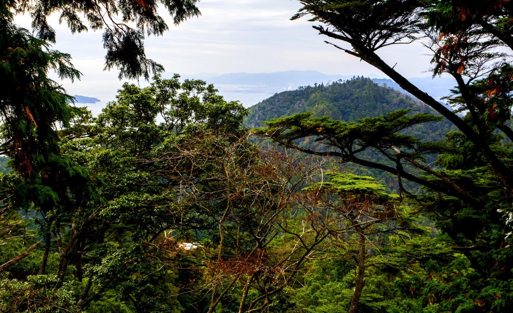 Miyajima : balade sur le Mont Misen