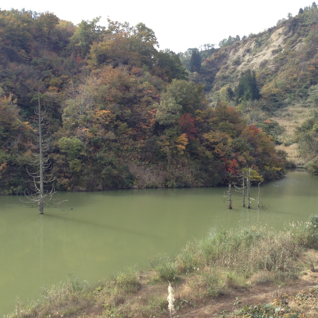 Yamakoshi : à la découverte de ce village rural à l'histoire étonnante