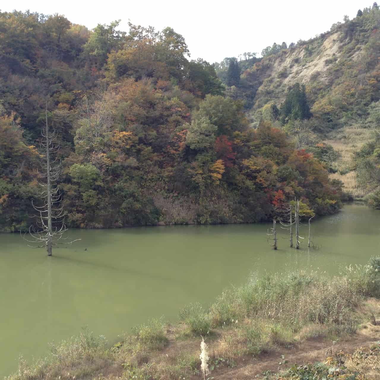 Yamakoshi : à la découverte de ce village rural à l'histoire étonnante