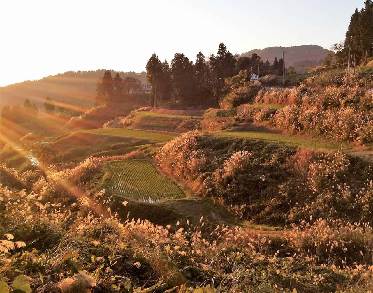 Comment se rendre Yamakoshi, petit paradis à 3 heures de Tokyo