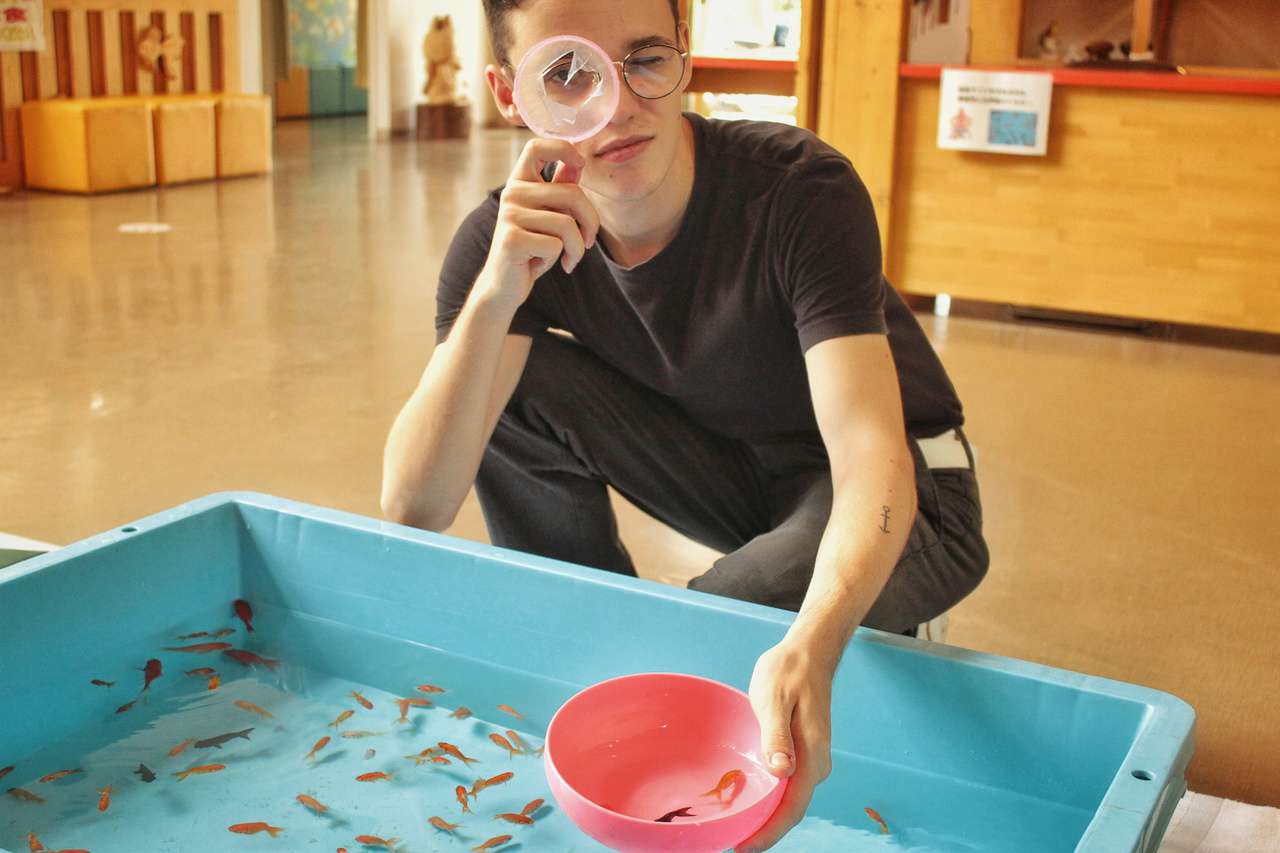 Entrez dans le monde des poissons rouges à Nagasu