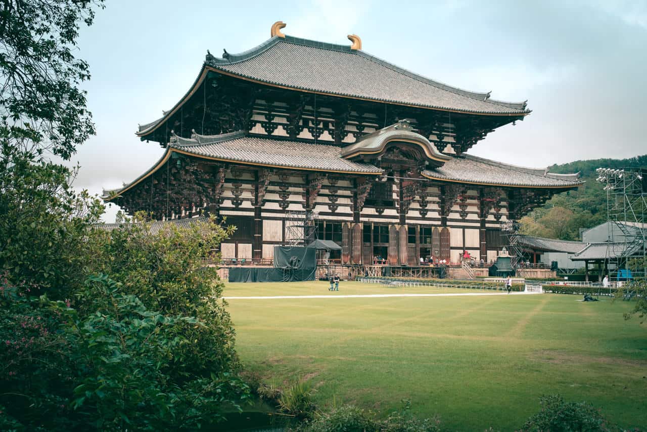 Le parc de Nara : découvrez ses daims et ses monuments