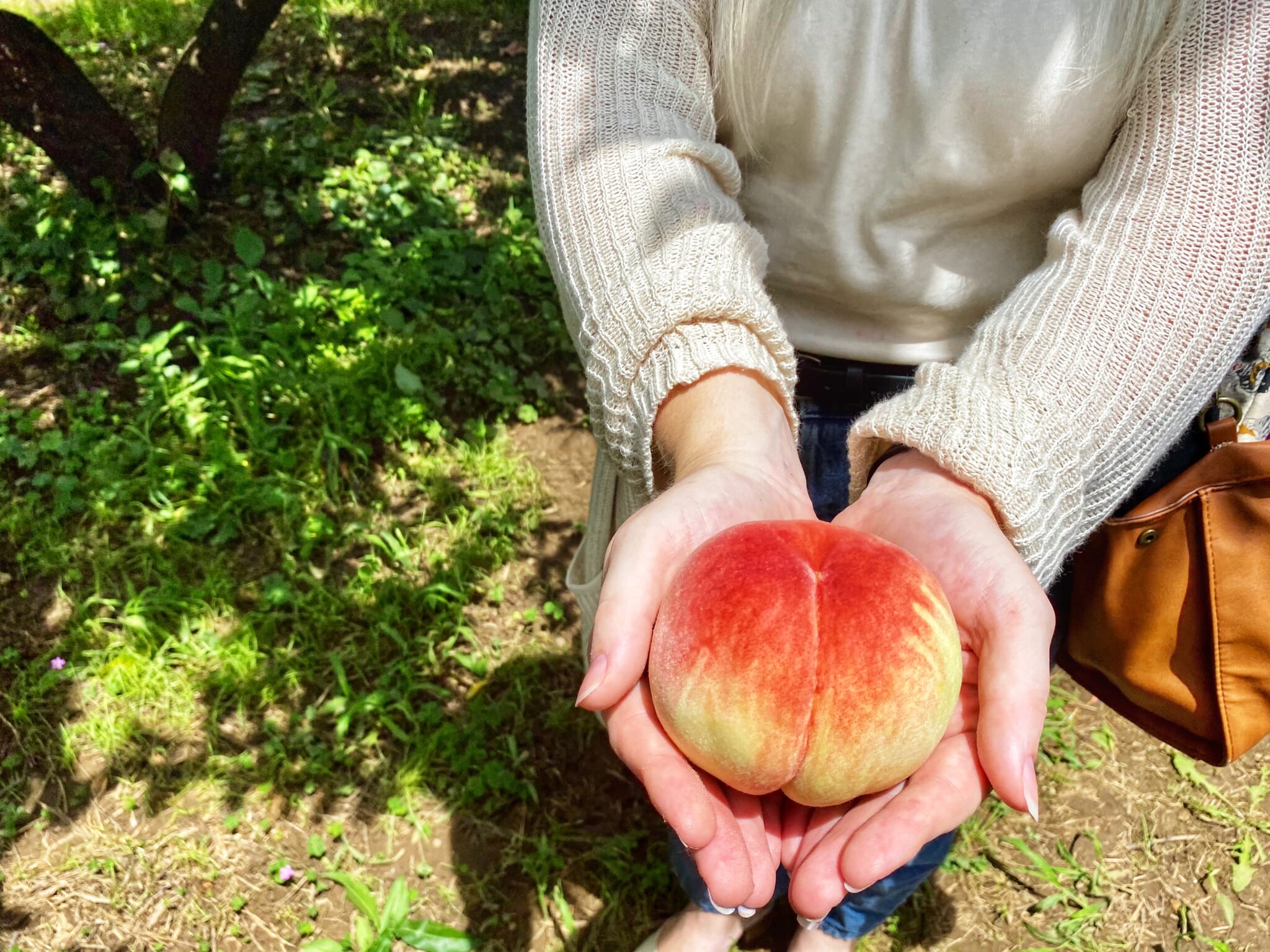 Kofu et la vallée de Shosenkyu : au cœur des montagnes de Yamanashi