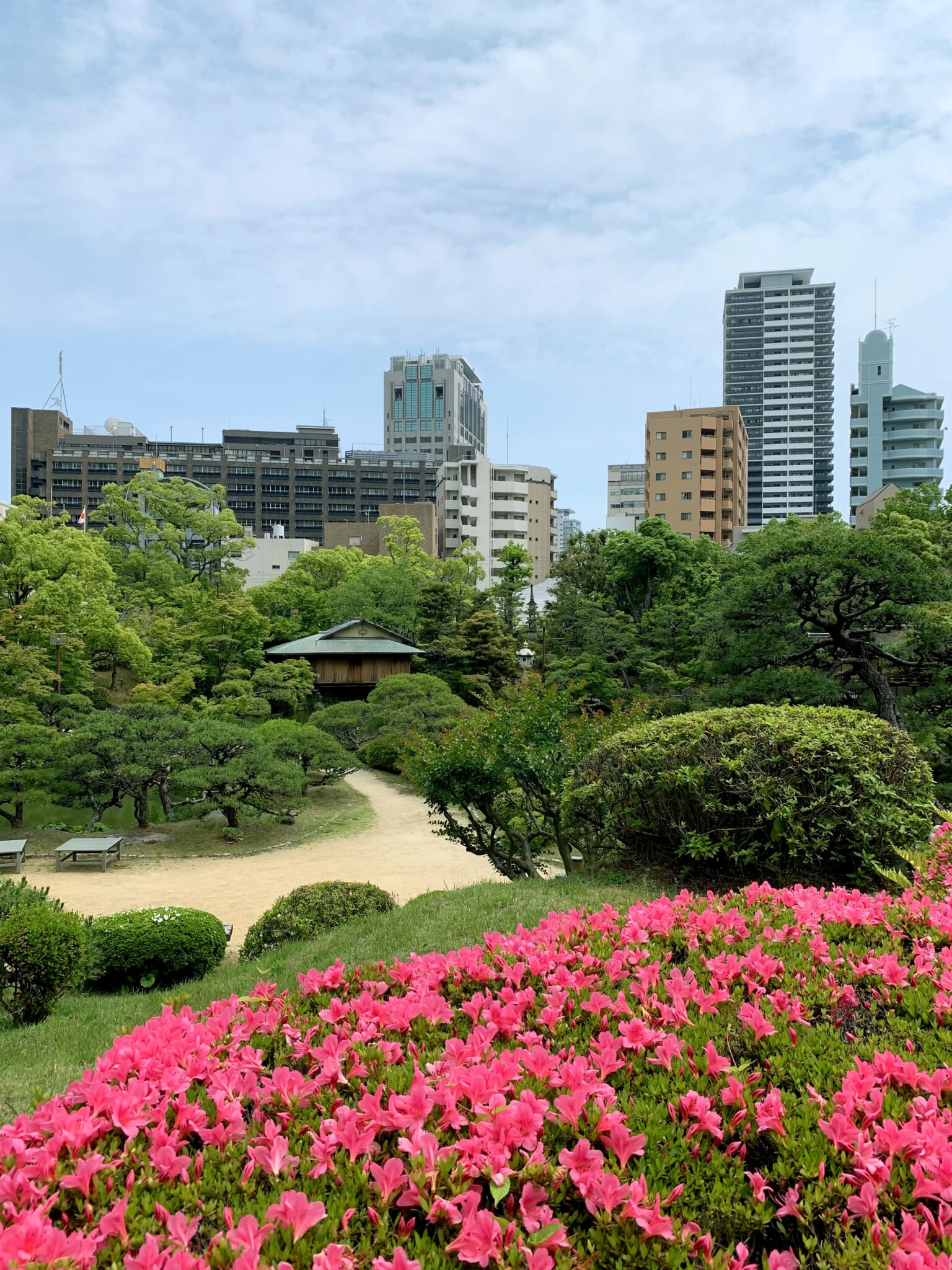 Sorakuen : un magnifique jardin japonais au cœur de Kobe