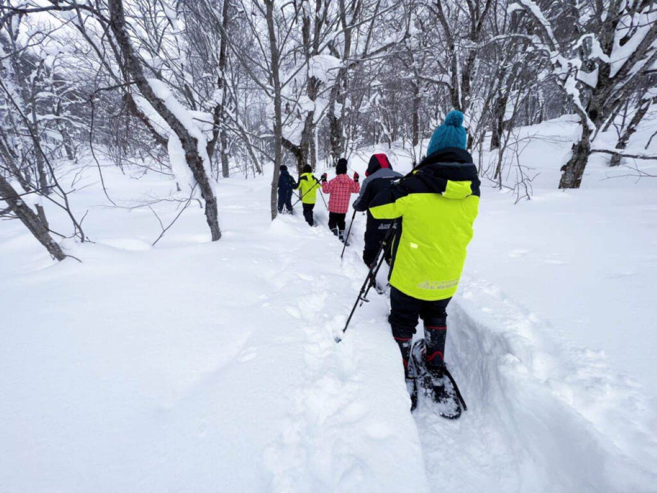 Découvrir la préfecture d'Akita et la ville de Semboku durant l'hiver