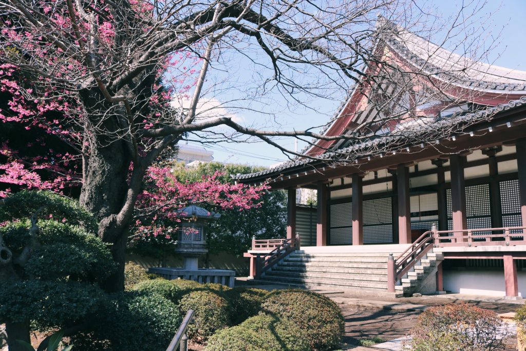 ¿Qué hacer en Koenji? Conoce el barrio artista de Tokio