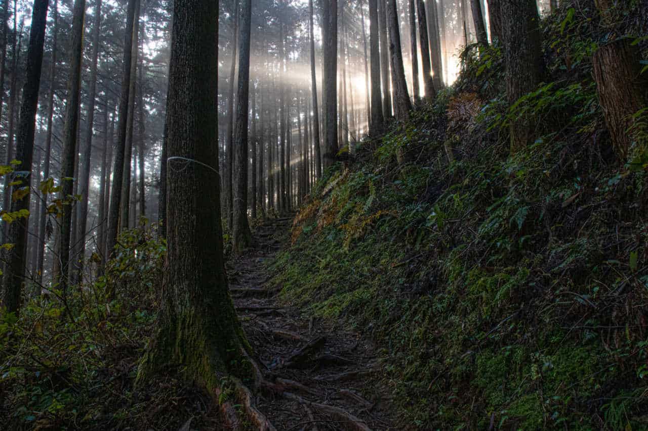 El monte Mitake: naturaleza y espiritualidad cerca de Tokio